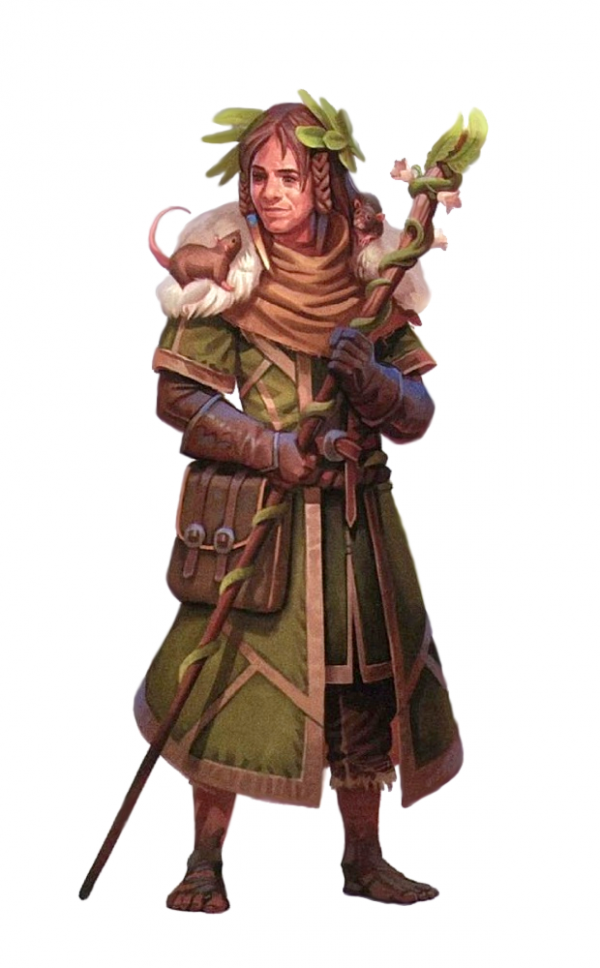 The Ultimate D&D 5E Druid Class Guide (2024) - Game Out