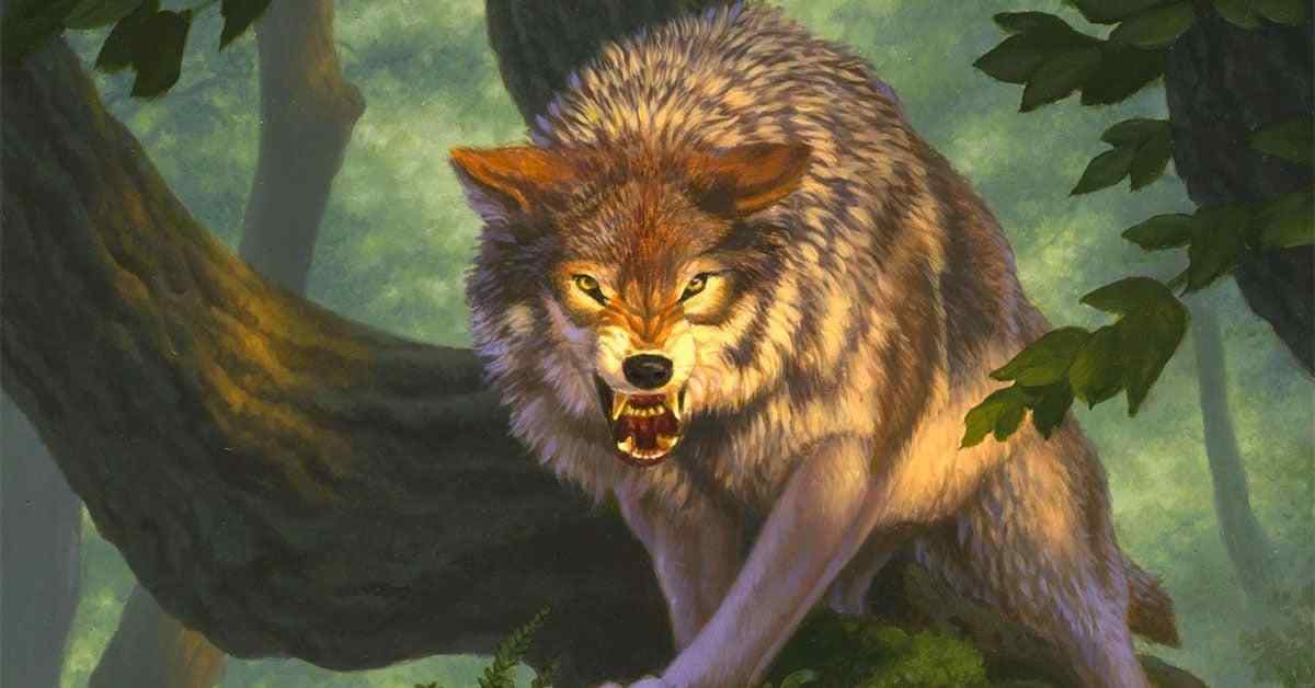How Do Animal Companions Work In DnD 5e? - Game Out