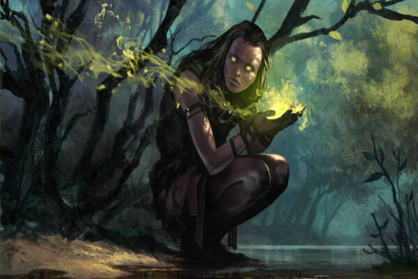 Arcane Focus Vs Component Pouch 5e Which Ones Better